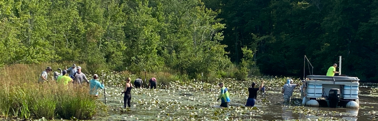 LGWCC Native Vegetation Management